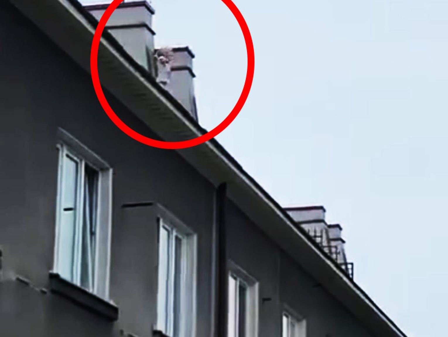 4-latka chodziła po dachu kamienicy. Pijana matka nie zauważyła ... 4-latka chodziła po dachu kamienicy. Pijana matka nie zauważyła ...