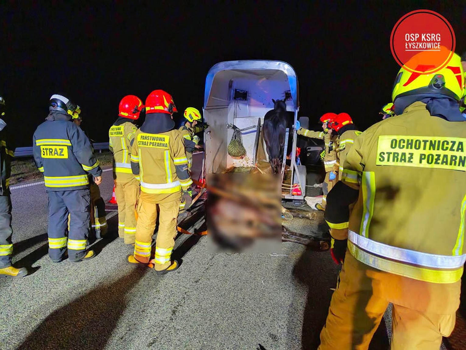 Bus wjechał w przyczepę przewożącą konie. Dramatyczny wypadek na autostradzie