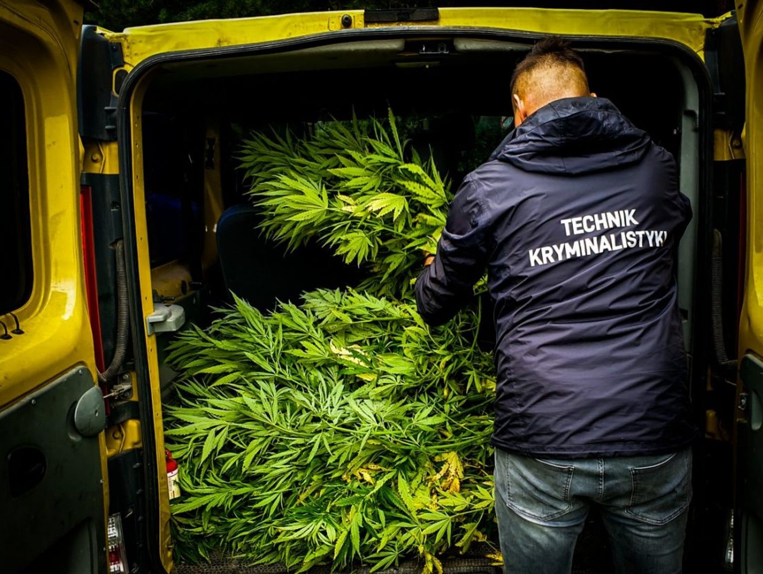 Wpadł z marihuaną i nielegalną amunicją. Okazało się, że uprawia zioło ...