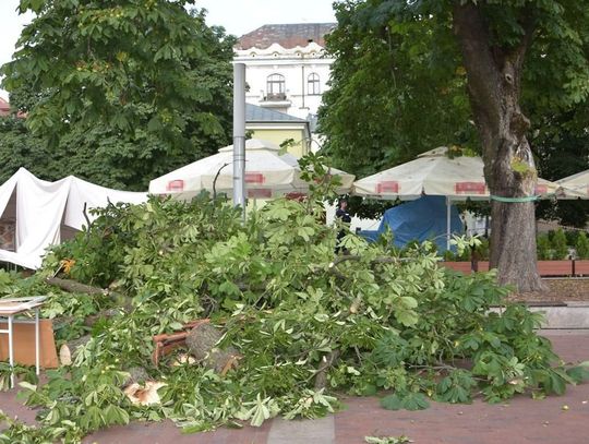 Zamość: 15-metrowy konar spadł na ludzi siedzących w namiocie. Dziewięć ... Zamość: 15-metrowy konar spadł na ludzi siedzących w namiocie. Dziewięć ...